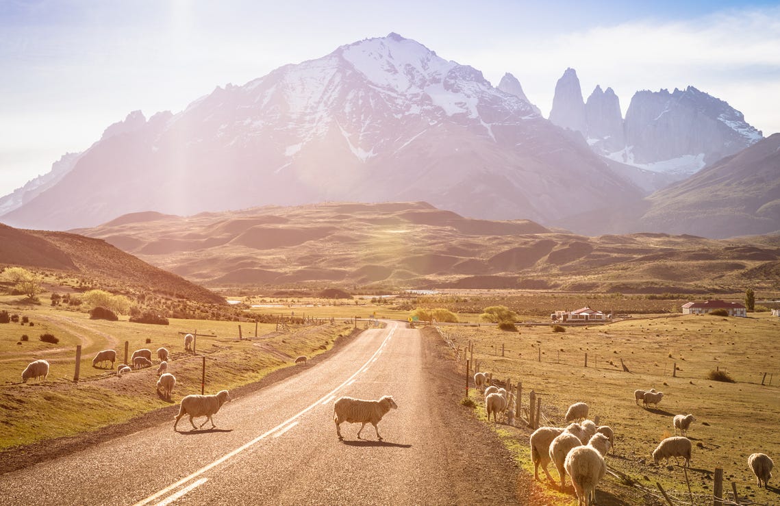 365 Days of Climate Awareness 256 — Chile and Climate Change | by The ...