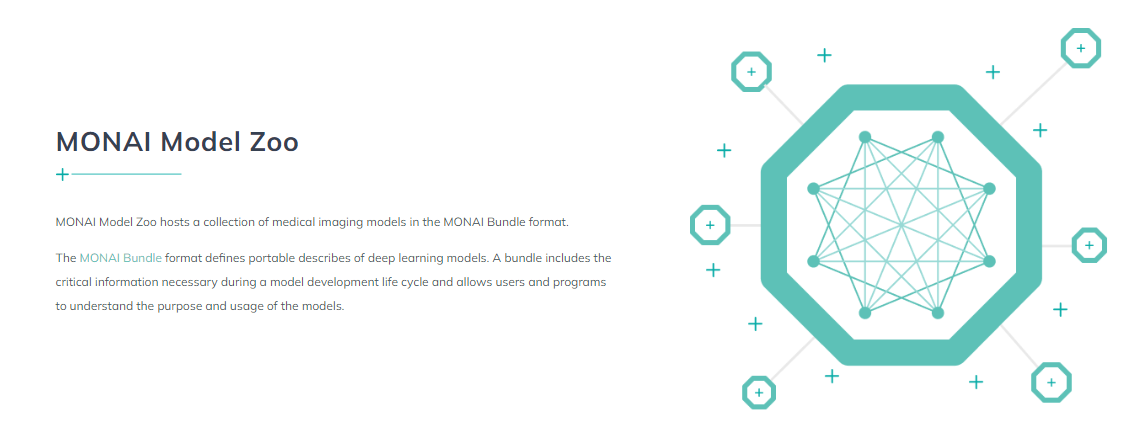 Using Monai Bundle and The Monai Model Zoo To Segment Medical Imaging Data | by David Simms | Medium