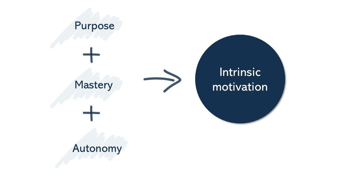 The Three Cornerstones of Intrinsic Motivation: Purpose, Mastery and Autonomy | by Argo ...