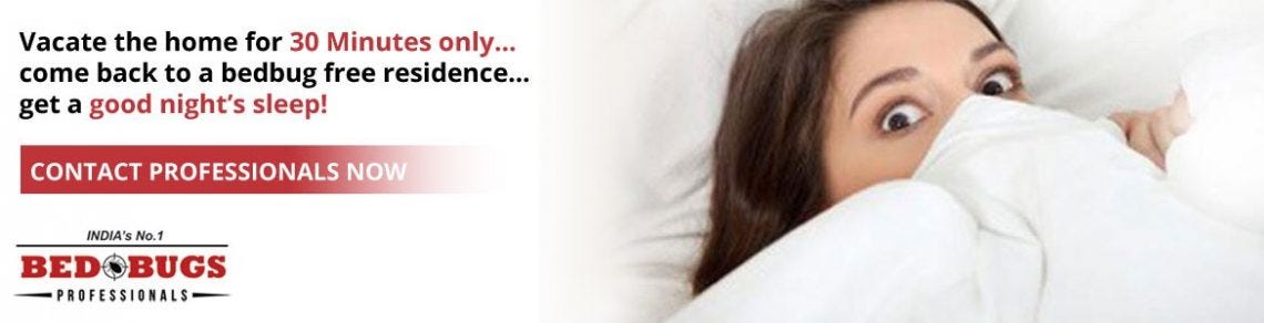 5 Efficient Tips to Aid You Remove Bed Bugs in Bangalore | by Bed Bugs Treatment | Medium