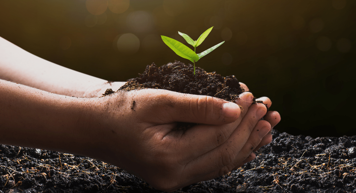 Sustainable living and eco-friendly practices | by Harry Winters | Medium