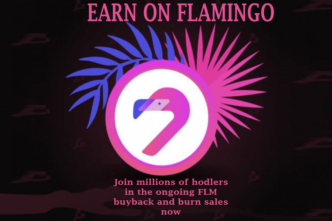 FLAMINGO FINANCE BUYBACK AND BURN SALES PROGRAM | by FLAMINGO FINANCE ...
