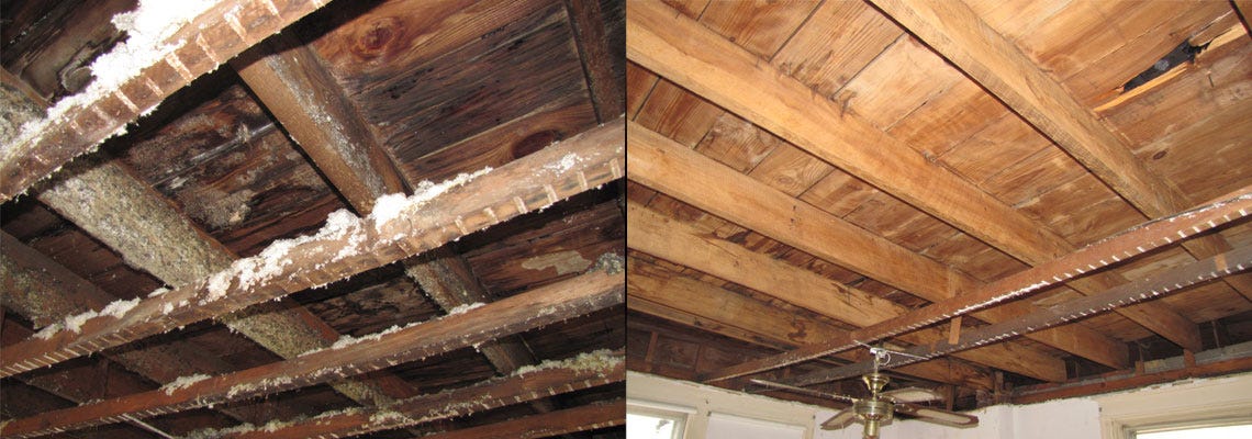 Mold Removal West Chester PA Hire Best Hoarding and Mold Testing ...