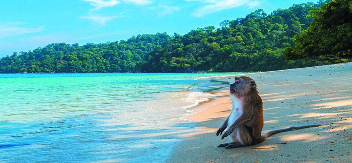 Interesting Destinations On Timor Island | by Thereza “Theza” Van Der ...