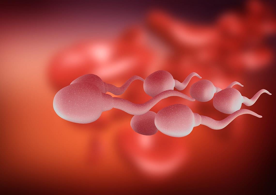 10 Tips To Increase The Sperm Count With The Help Of Ayurveda By