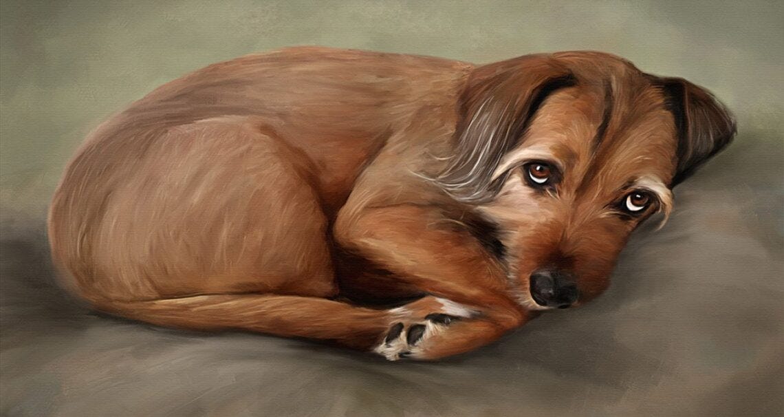 Joseph Blake Smith Arkansas | Why not commission a portrait of your pet ...