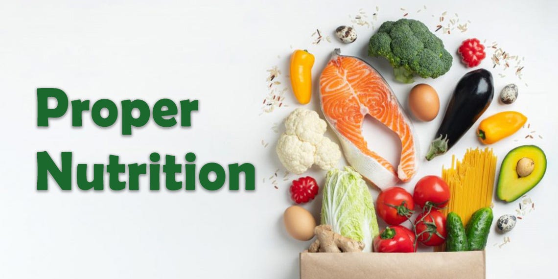 Proper nutrition is a prerequisite for health — How to start proper ...