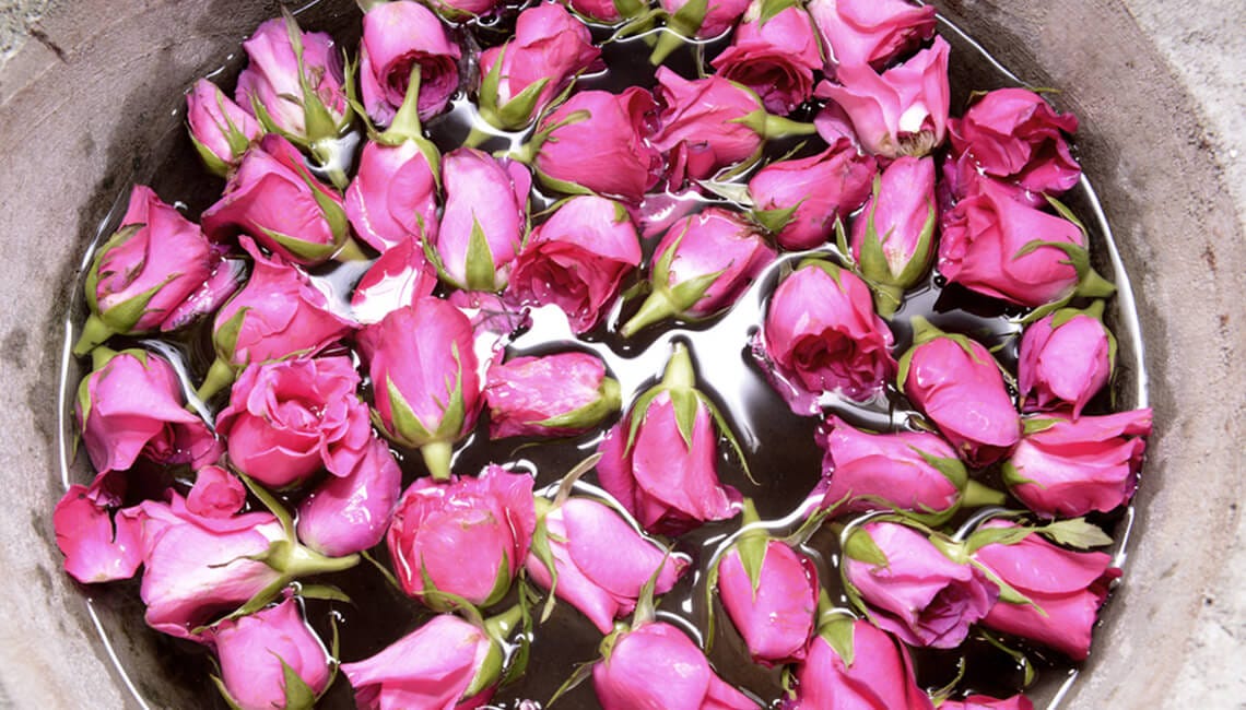 Rose Scrub — 6 strong reasons to use it | by Jen Hoffmann | Medium