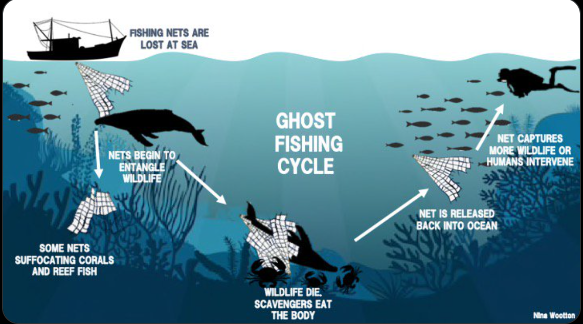 Ghosts in water bodies to FIBER.. There are different materials in the ...