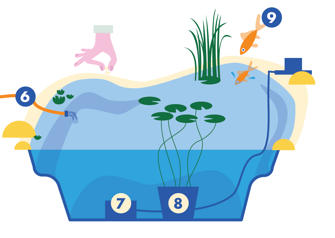 Comment installer un bassin dans son jardin ? | by Côté Nature | Côté ...