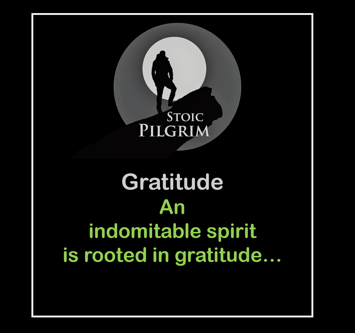 The Power of Gratitude and an Indomitable Spirit in Leadership - 🌍 ...