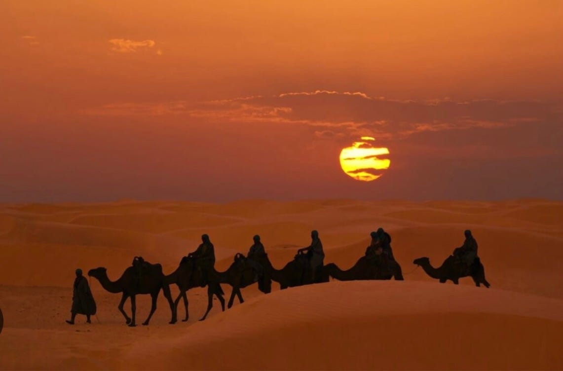 What Happened to Zaynab Bint Haarith (The Woman who Poisoned Prophet ...