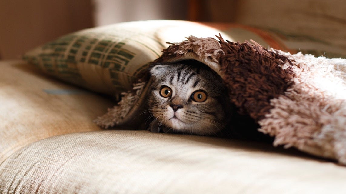 How To Identify the “Culprit” Flooding the Logs in a Linux System | by ...