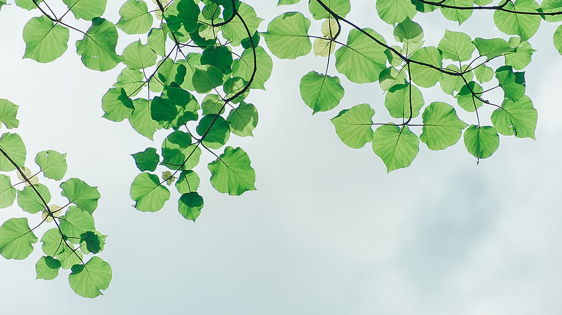 Event-Driven: How Is C10M Achieved? | by ByteCook | Dev Genius