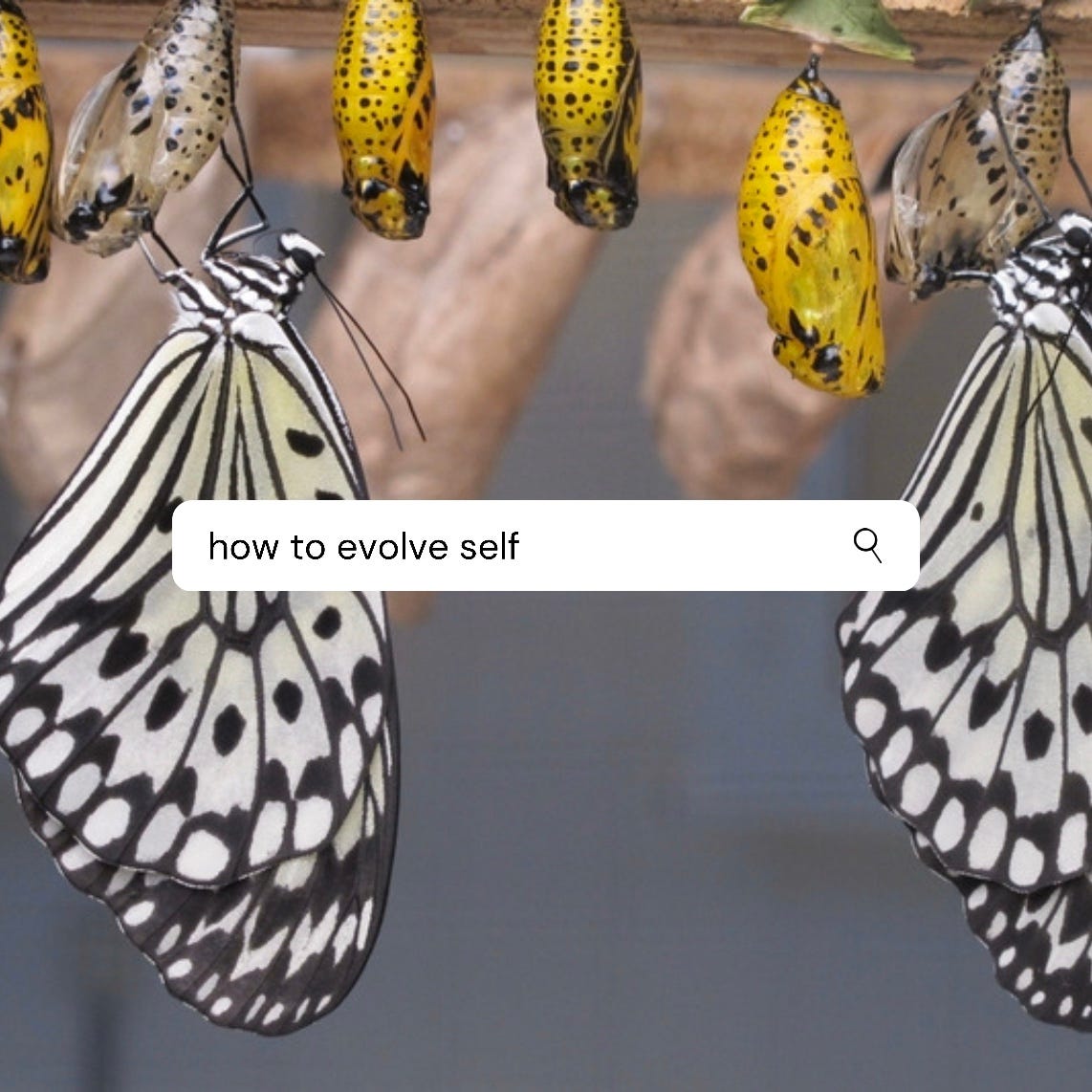 7 Ways to Evolve Yourself Now. With the world turned upside down, how ...