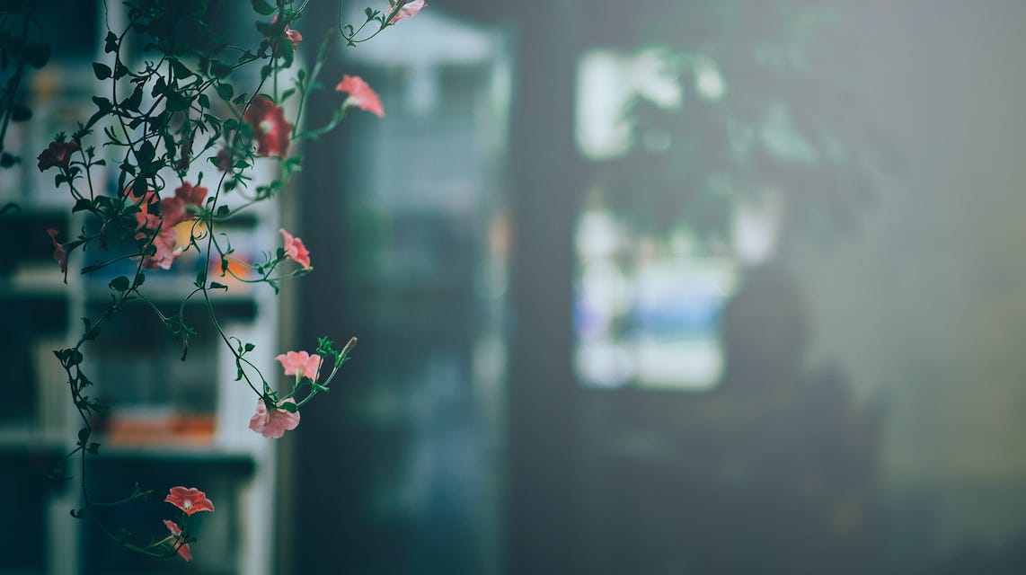 How To Use Assert Reasonably In Python By Bytecook Level Up Coding