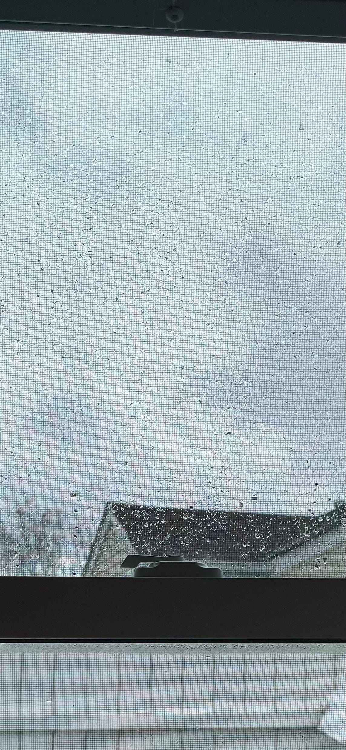 Raindrops Falling. On Your Roof | by Susan Payton | Feb, 2025 | Medium
