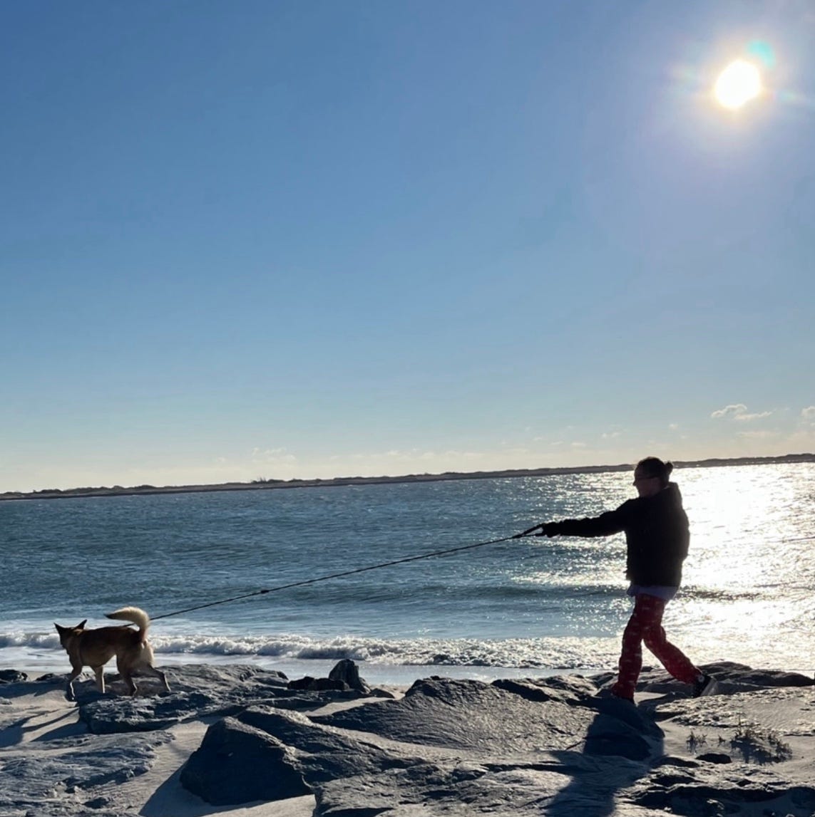 Used to Be. She used to be a wolf - | by Sheri Lyons | Medium