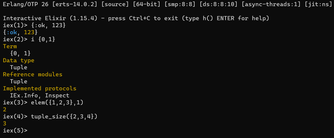 Elixir : Basics of Tuple datatype | by Arunmuthuram M | Medium