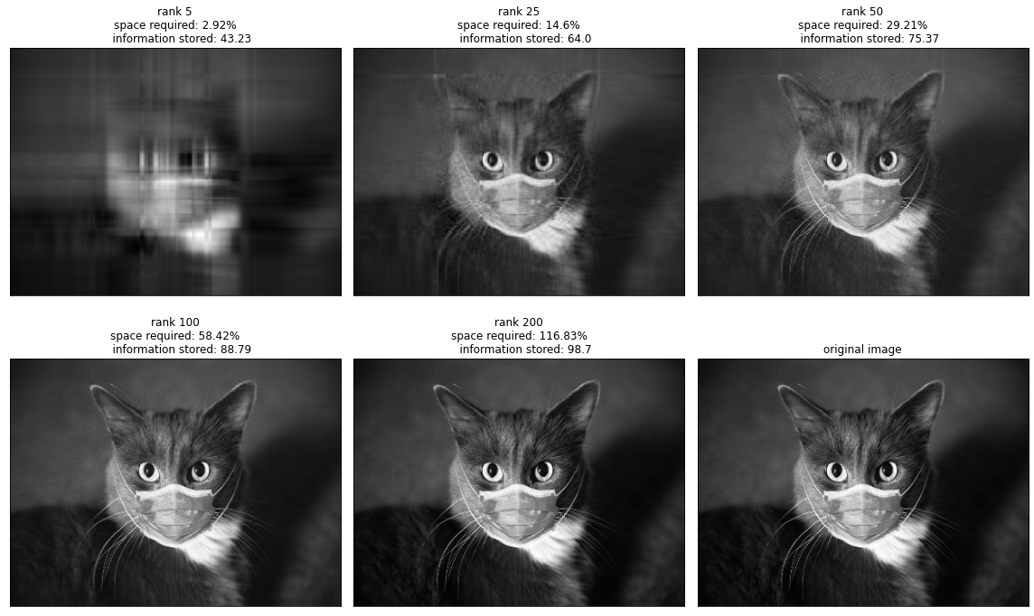 Compressing images using Linear Algebra | by Gaurav Sharma | Analytics ...