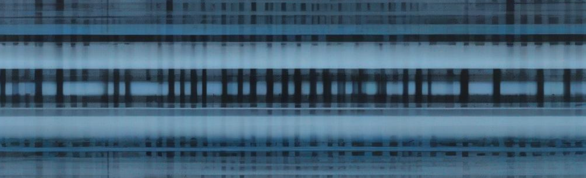 How can Transformers handle variable length input? | by Javier | Medium