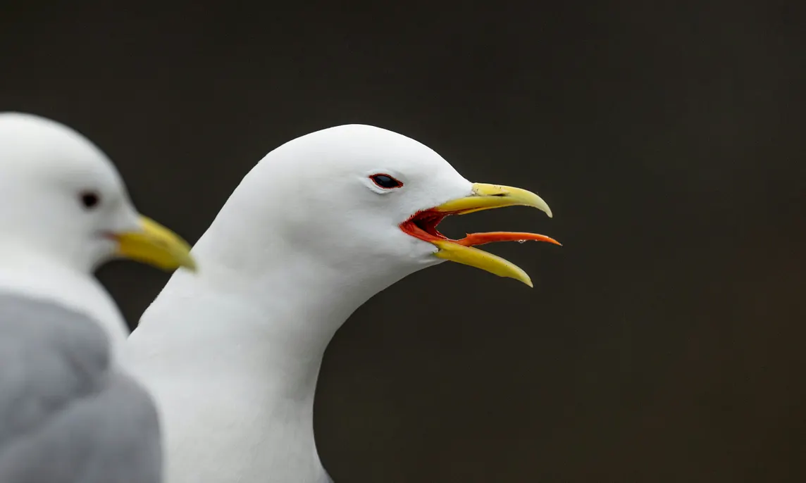 The most insightful stories about Bigquery - Medium