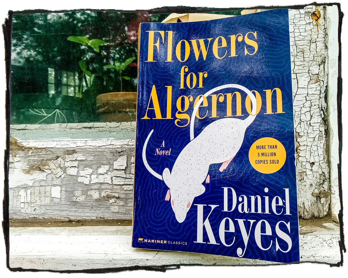 The most insightful stories about Book Review - Medium