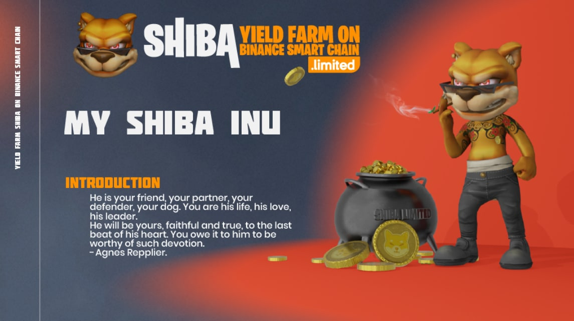My Shiba Inu 🥳 - My Shiba inu - Medium