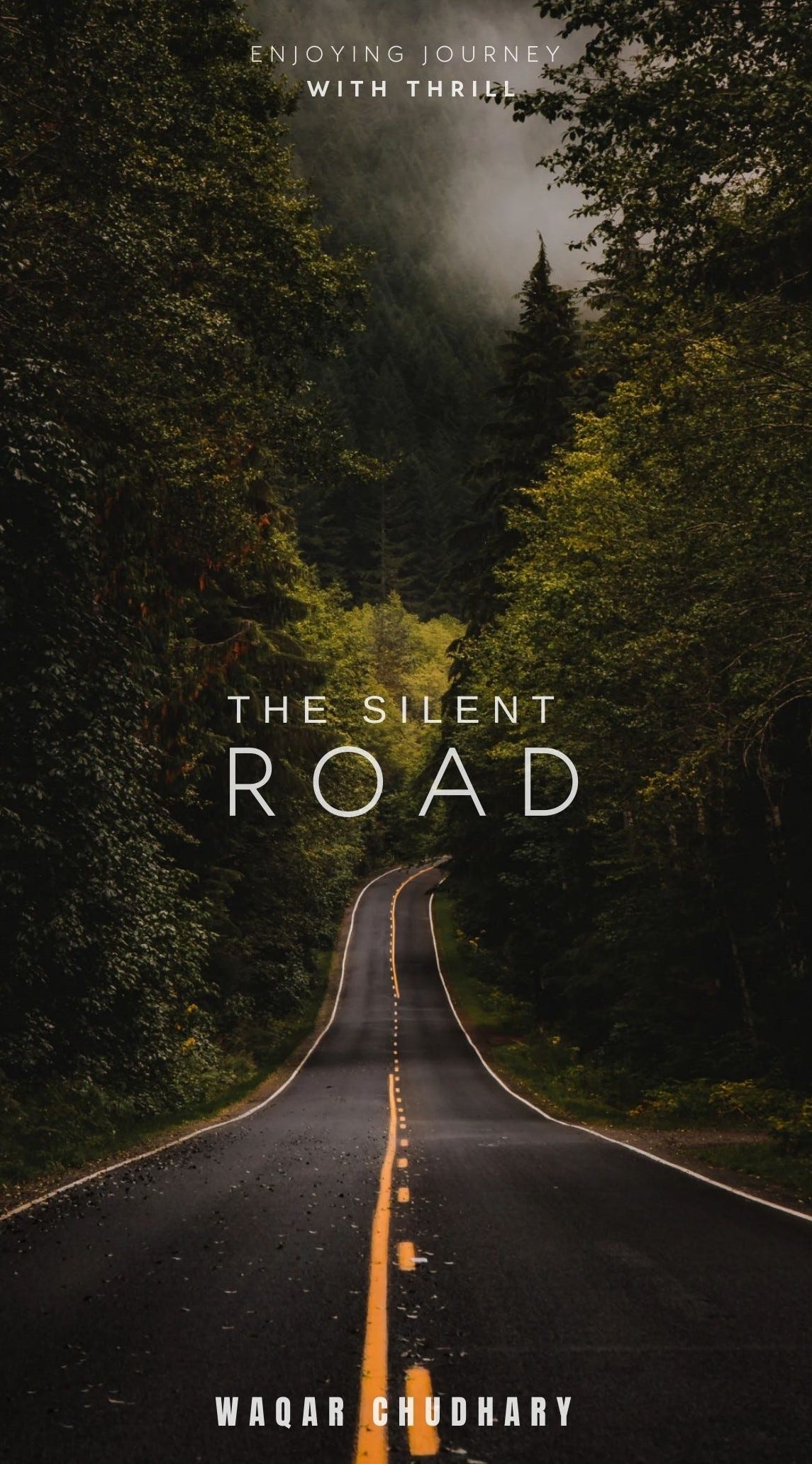 THE SILENT ROAD. THE SILENT ROAD | by Waqar_Chudhary | Jan, 2025 | Medium