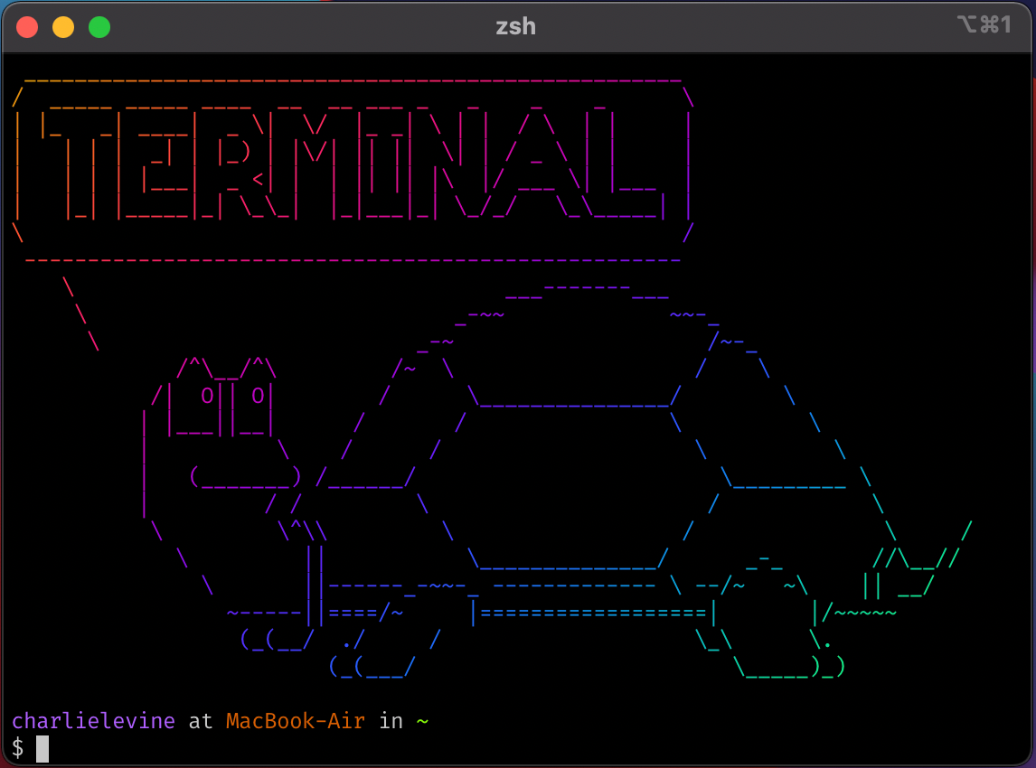 How to Make Your MacOS Terminal Look as Awesome as Mine in 2021 | by ...