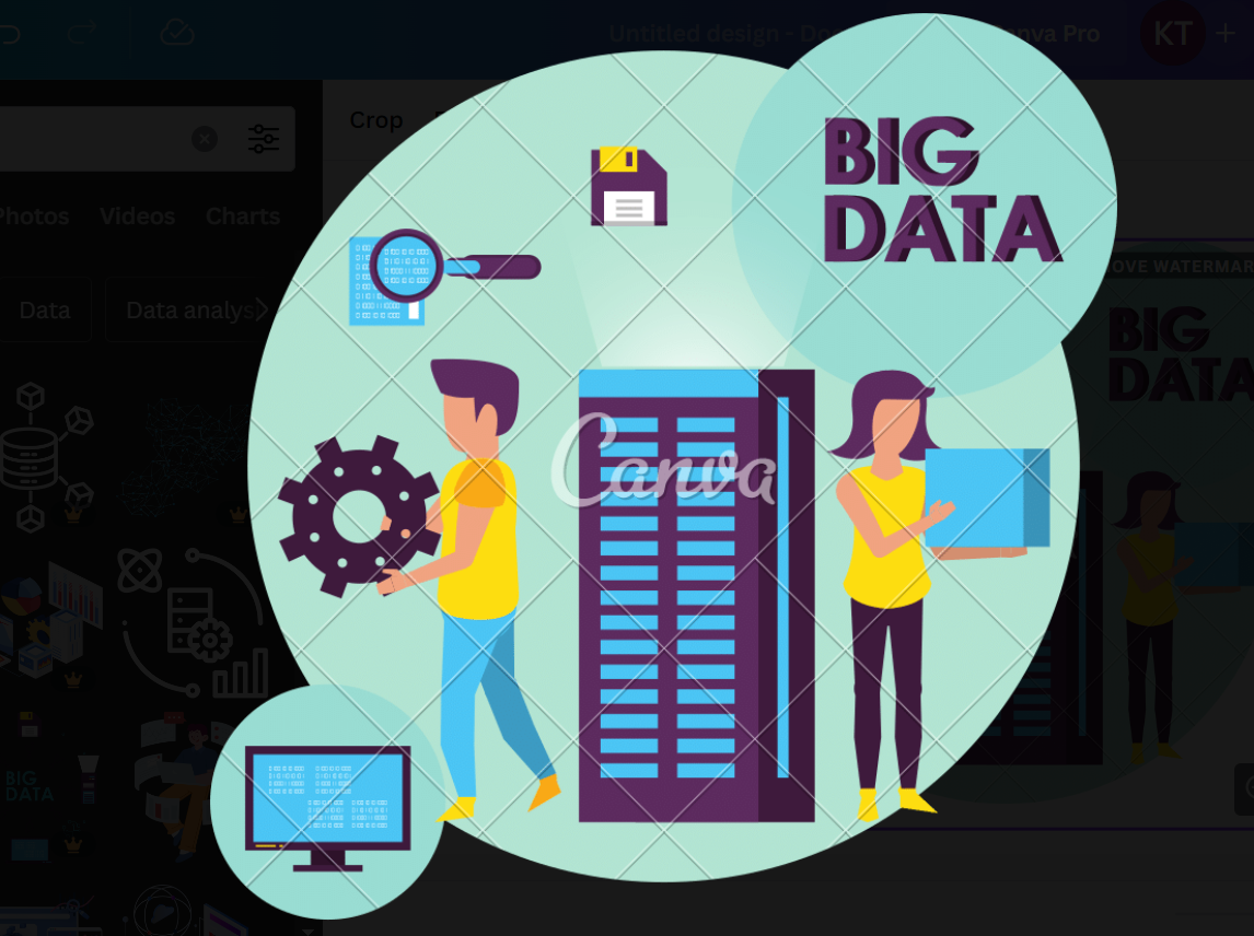 What the Paper Says: A Critical Review of the Article “Data Value, Big ...