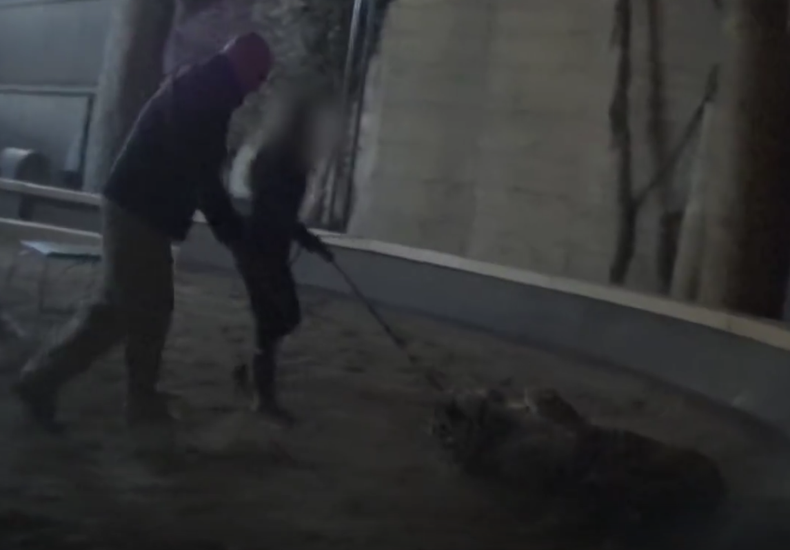 Please Don’t Do The #NotAllZoos Thing | by Anna Pippus | Medium