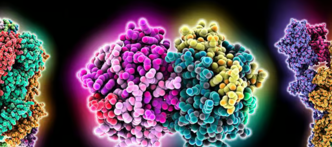 Protein Folding Prediction Taken from Years to Hours: AI Just Solved ...