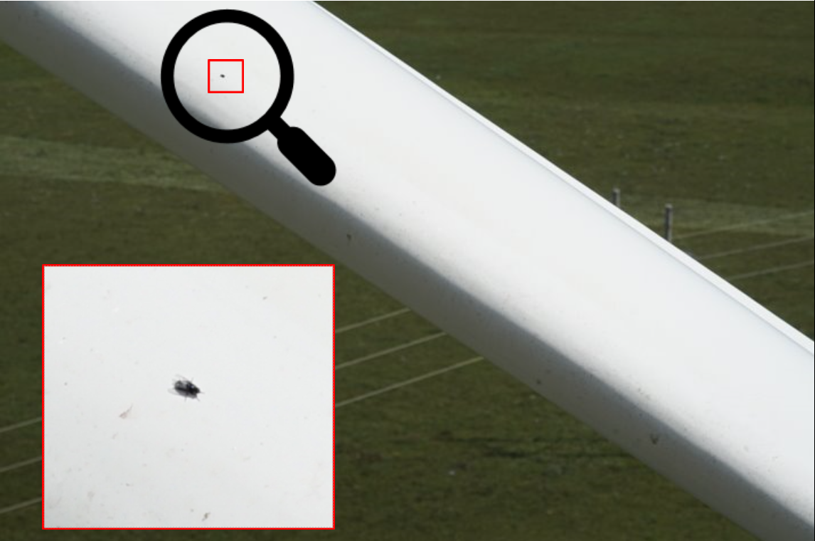 What Makes A Fly Cute When It Sits on A Wind Turbine Blade? | by ...