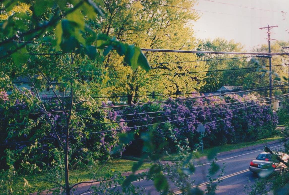 Why Spring In Minnesota Is My Favorite Season | by Andrew Piontek ...