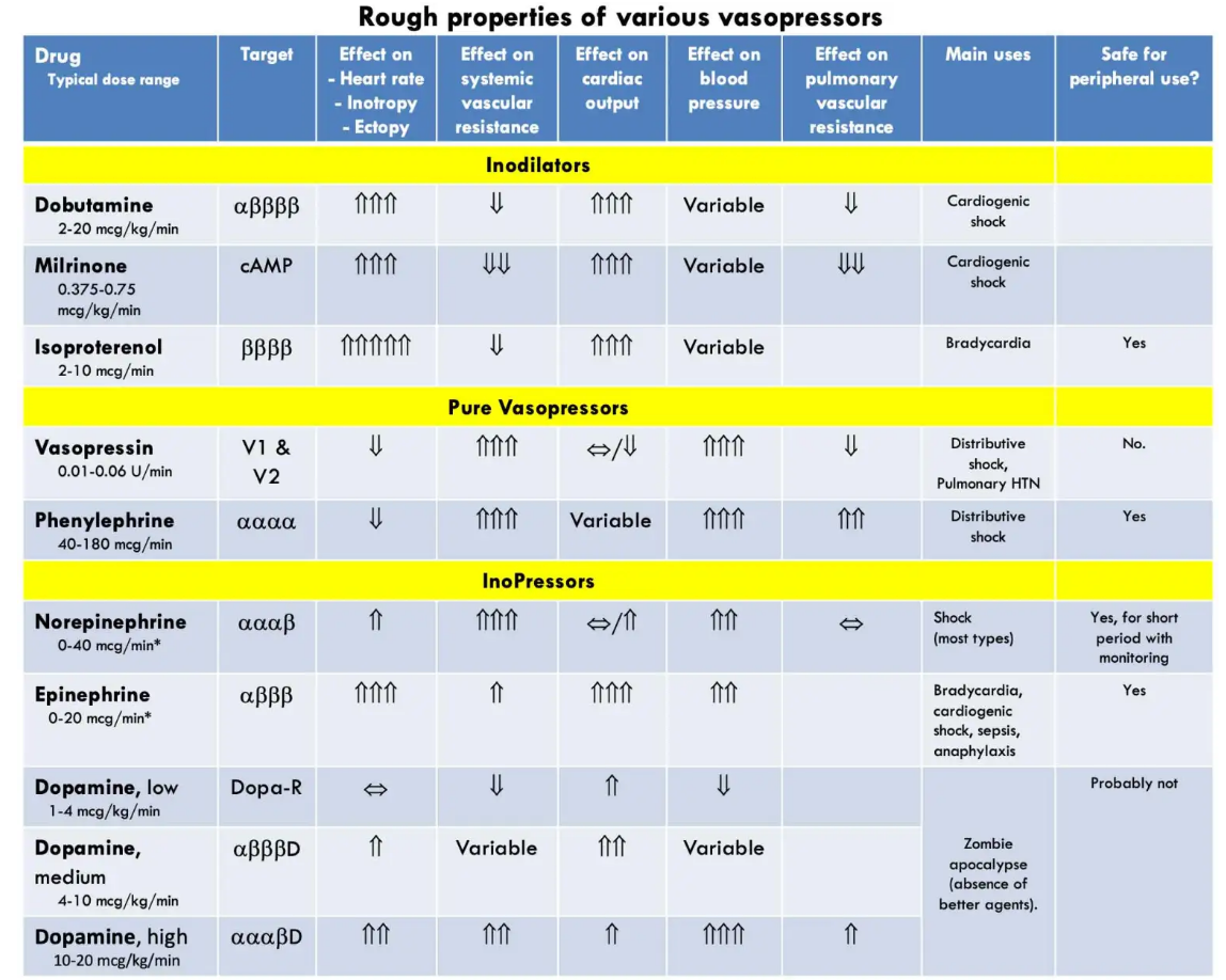 EM pearl: Vasopressors reference - KPCVEM - Medium