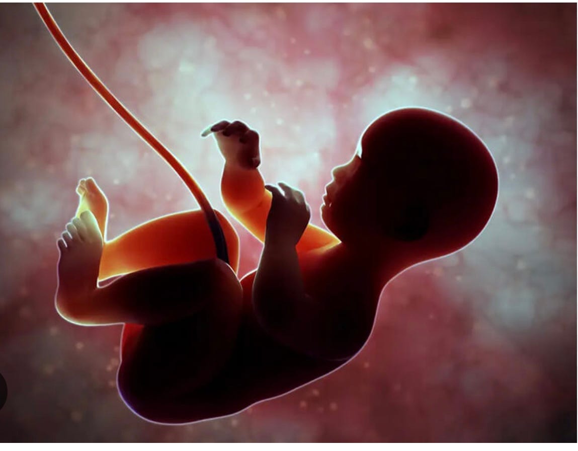 The Stillborn Child Will Drag His Mother Into Paradise By The Umbilical ...