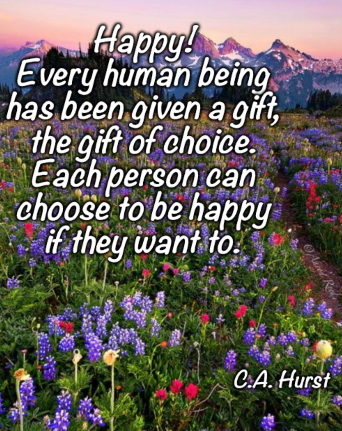 Happy! - C. A. Hurst - Medium