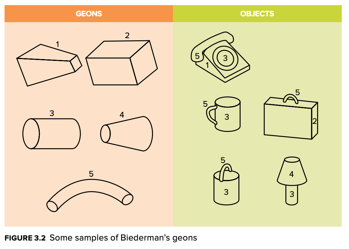 03-PEOPLE IDENTIFY OBJECTS BY RECOGNIZING PATTERNS | by Ashish Kumar | Medium