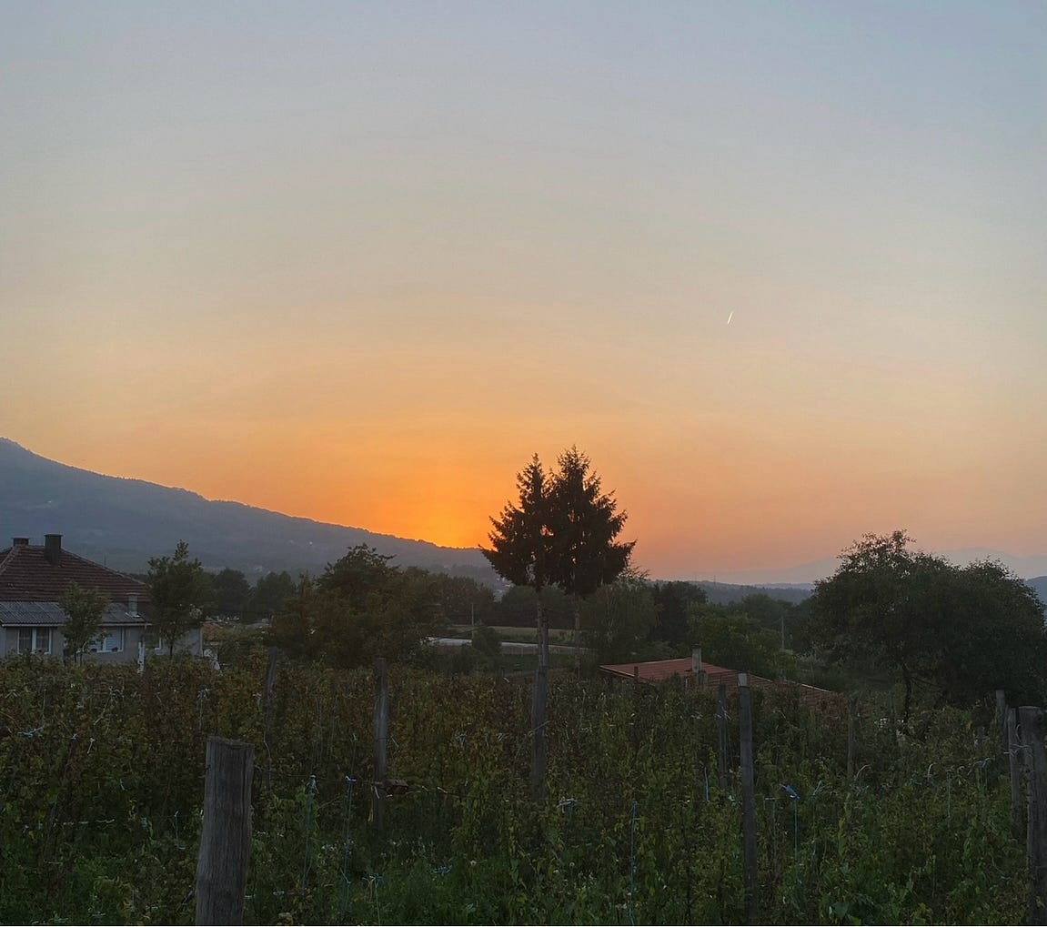 Dreams from the Trenches | by Dusan | Aug, 2025 | Medium