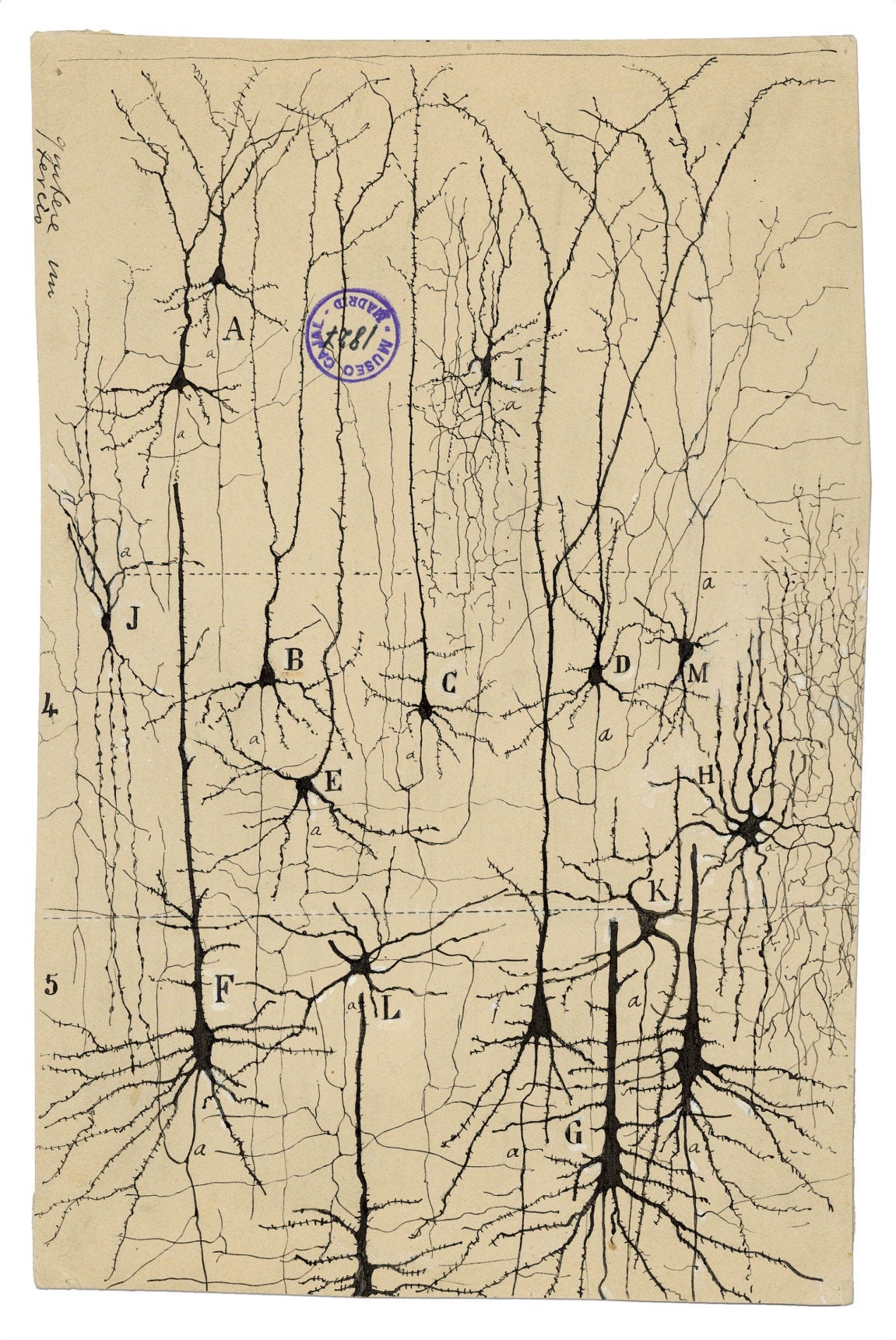 Conscious AI & synbio. Artificial intelligence will beat us in… | by ...