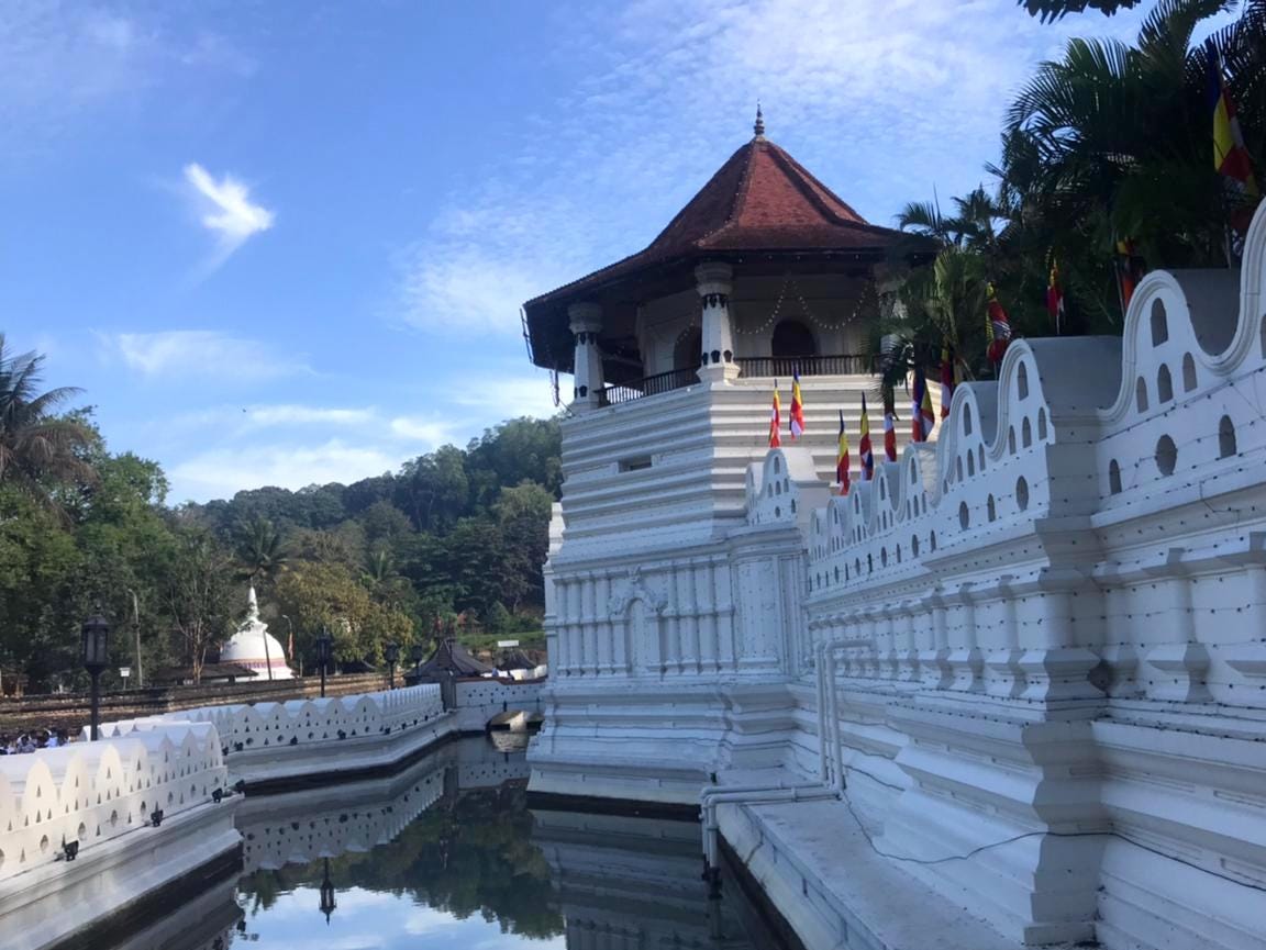 An Offering for Lord Buddha. Our morning visit to the Temple of the ...