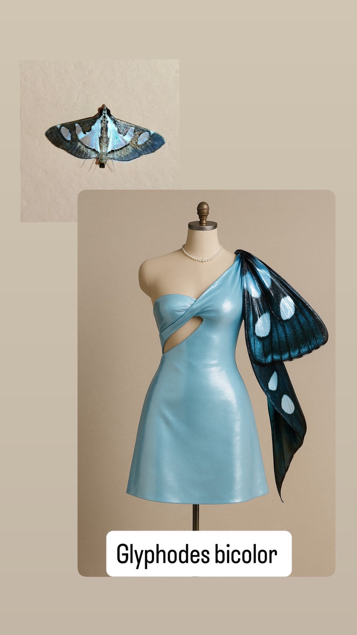 From Moth Wings to Fabric: How Science Quietly Led Me to Fashion | by ...