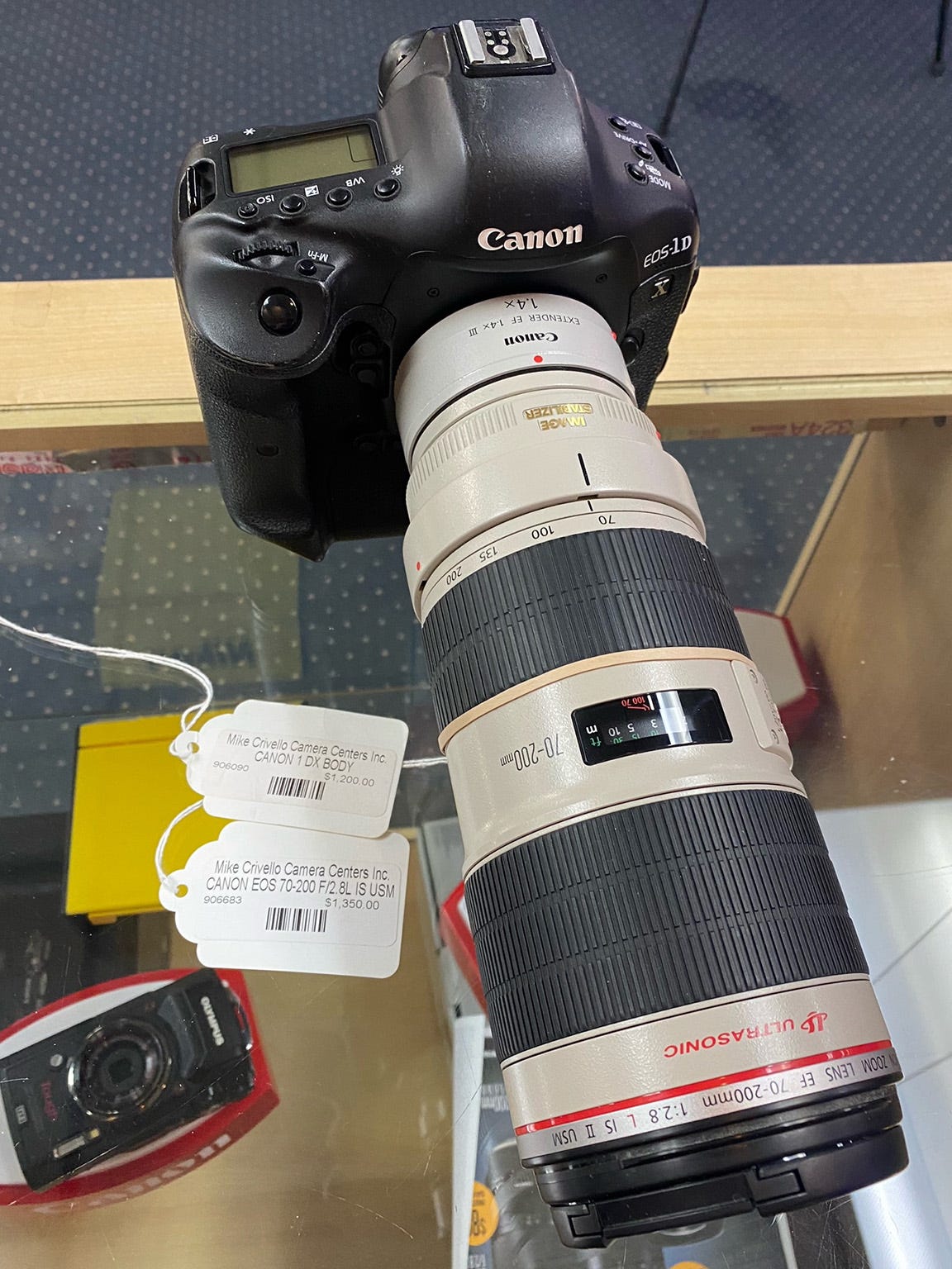Canon EOS 1DX markⅡ+EF 70-200/F2.8 - 210，000円 | noguchi.ug.edu.gh