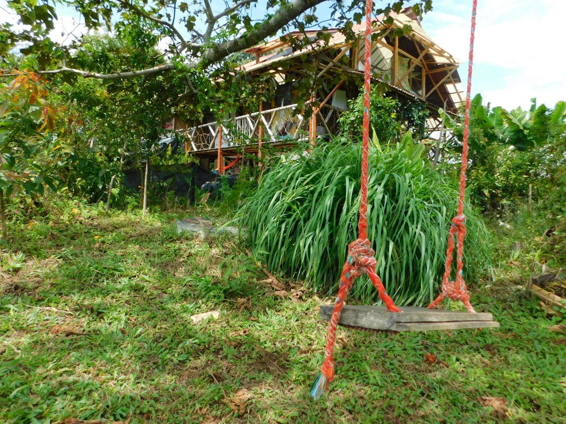 The power of belief: our incredible experience with an indigenous ...