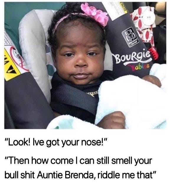 I Smell Bullshit Meme