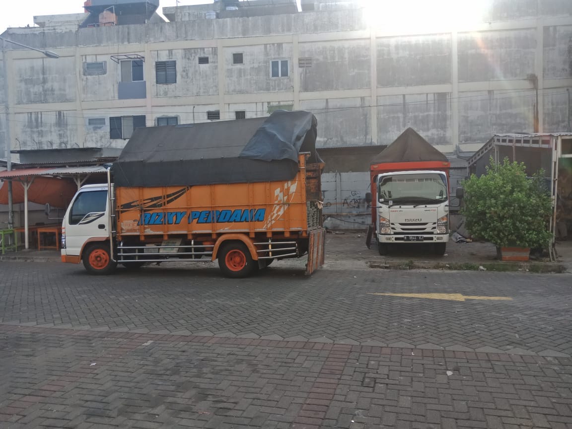 0882 1006 7101 Maxindo Sewa Truk Engkel dari Jakarta Tangerang ke ...