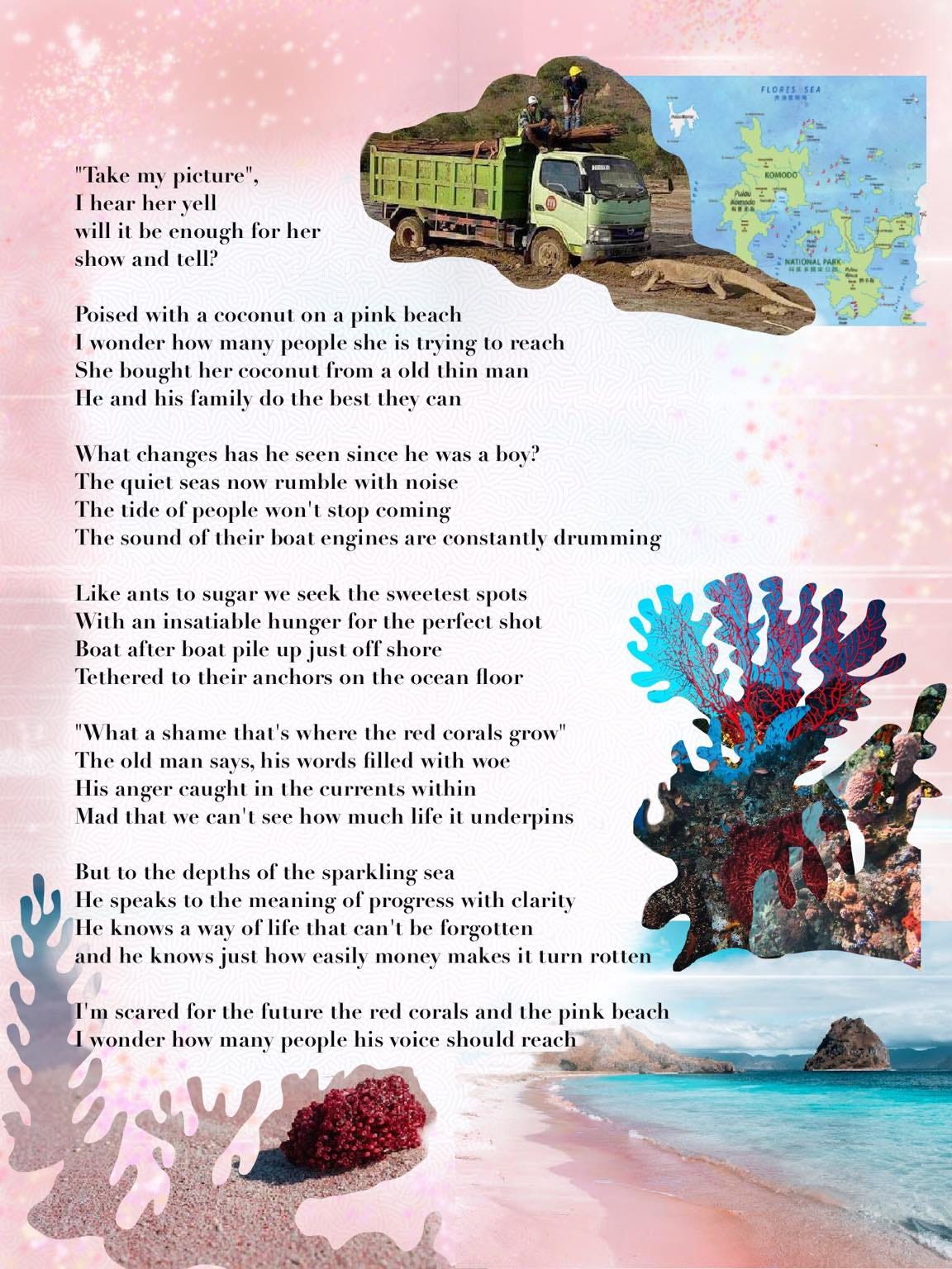 The Pink Beach Poem. On my last visit to Komodo National… | by emma ...