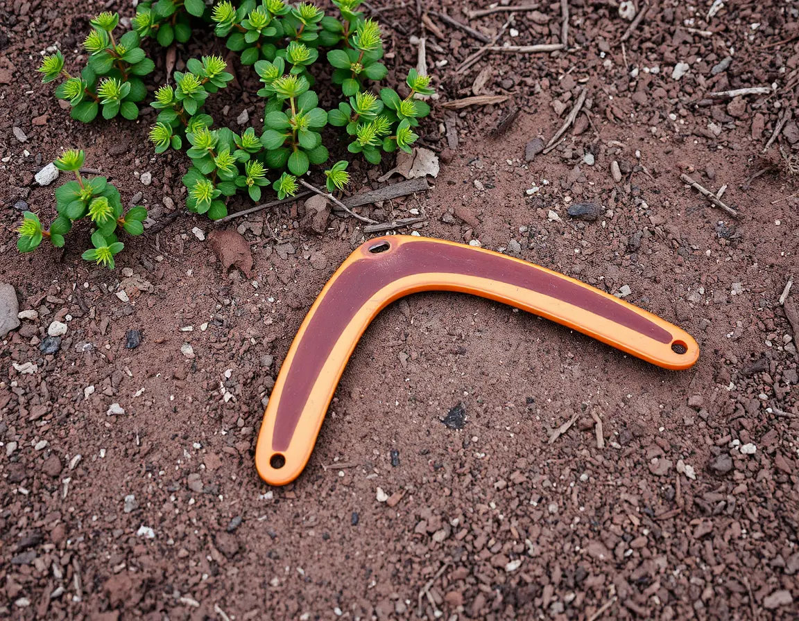 Boomerangs - Twisted Flash Fiction - Medium