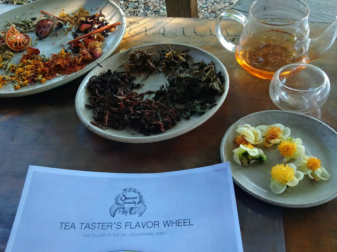 Thai Tea. Nature has its own way of wisdom. | by SociopreneurID ...